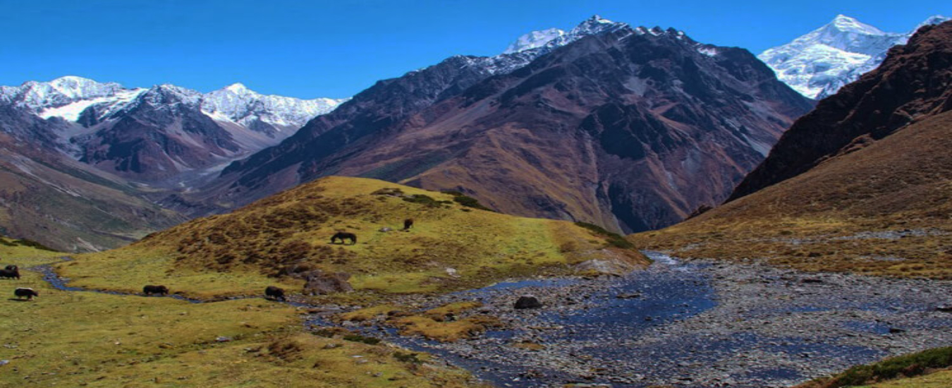 Trekking packages in Nepal: Manalsu region trek packages - Tsum valley ...